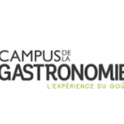 Emilie Chataux - Esthua, Institut national de tourisme - INNTO France ...